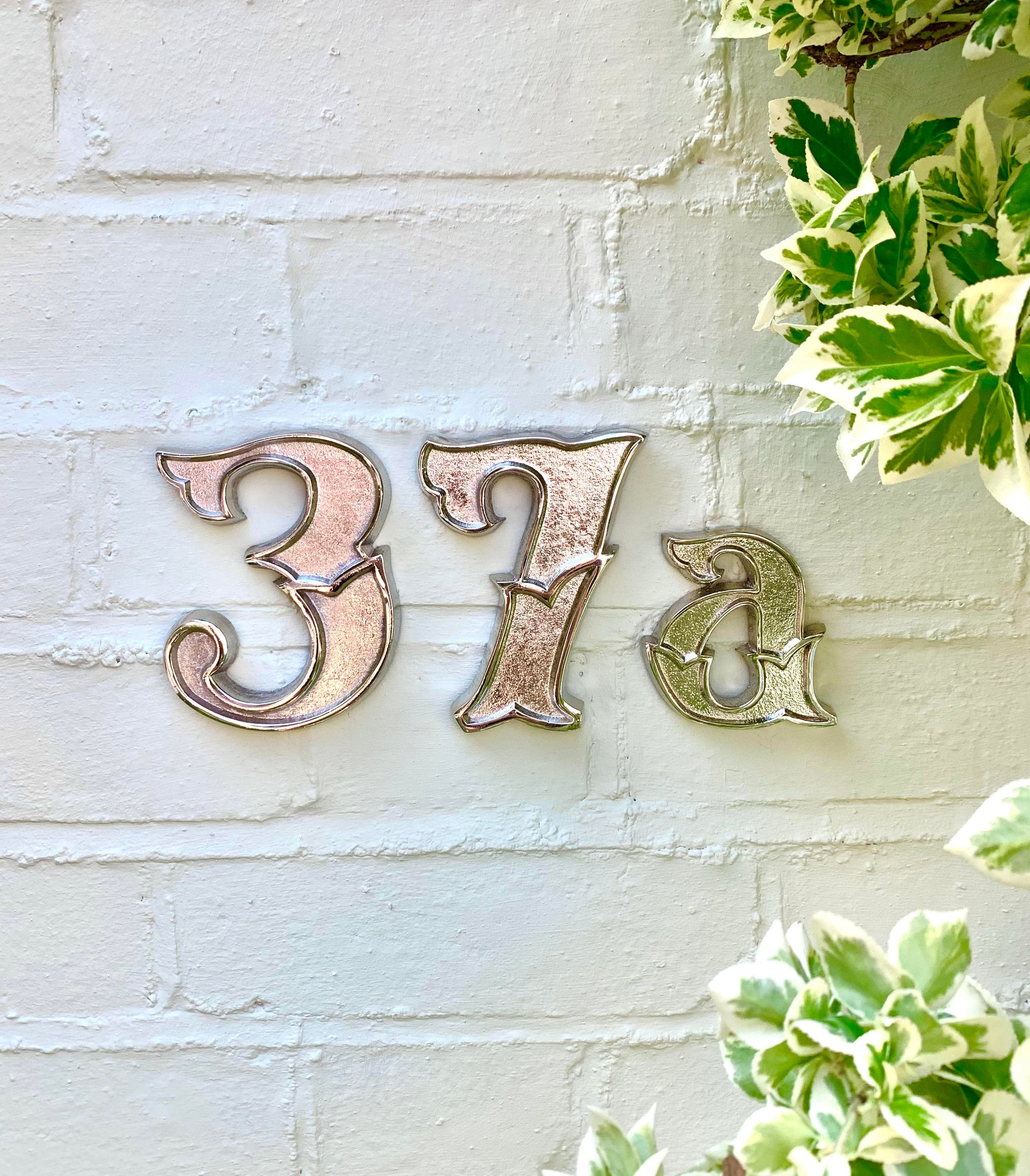 Apex House Letters – Hera Ray